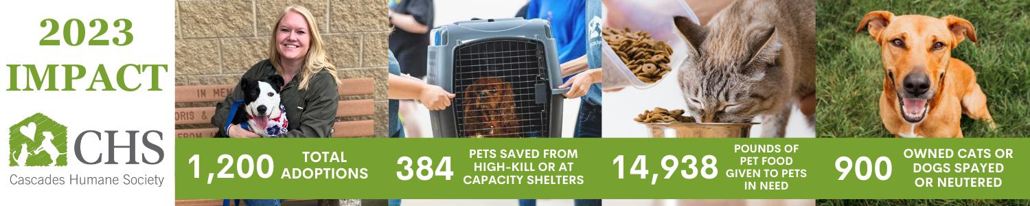 Removing Breed Labels of Shelter Dogs at CHS - Cascades Humane Society